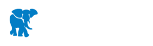 Power Dekor North America | Wood, Laminate & Vinyl Floors