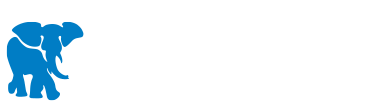 Power Dekor North America | Wood, Laminate & Vinyl Floors
